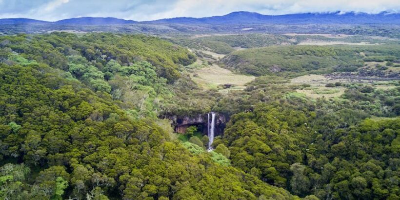 Aberdares National Park - Amazing Memories Safaris